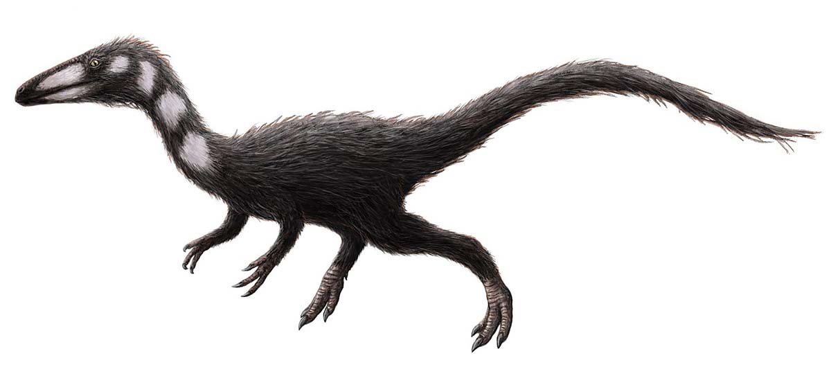 Jurassic Park Dinosaurs & Their Connections with Indigenous Undead ...