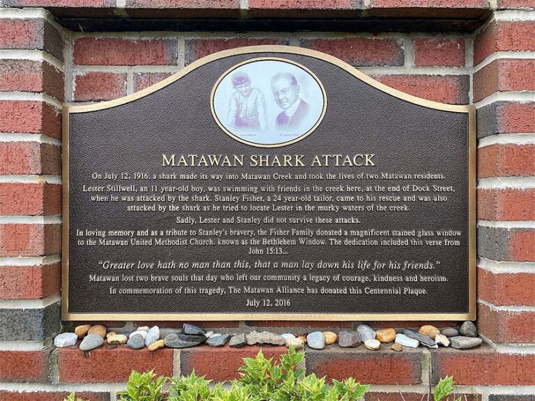 Matawan Man-Eater Mystery: Revisiting the 1916 Shark Attacks ...